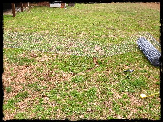 Behold, a Chunnel! - Grit